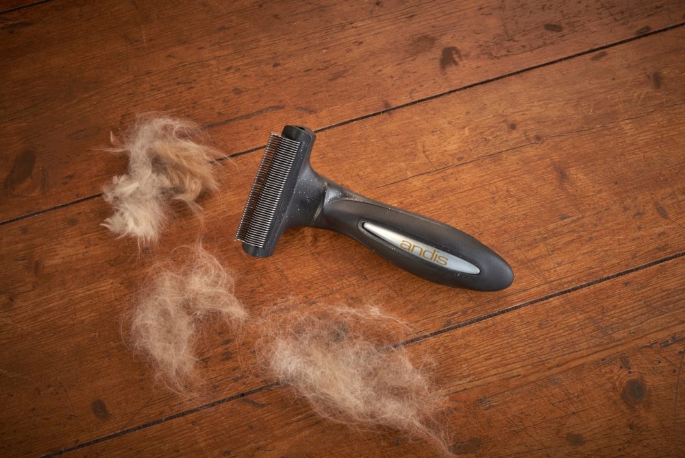 A New Premium Grooming Tool Fit For Your Wonderful Pup