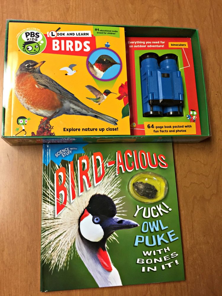 Great Bird Watching Kit for Kids - Kellys Thoughts On Things