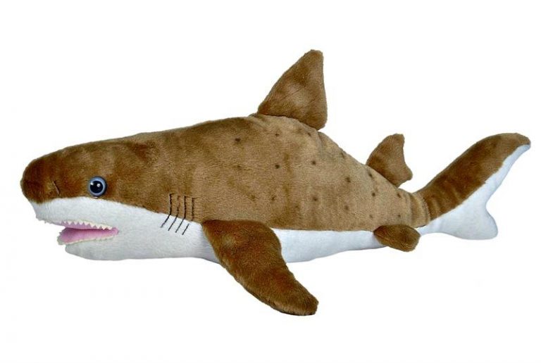 Special Toy Collection For Shark & Dino Fans Around The World
