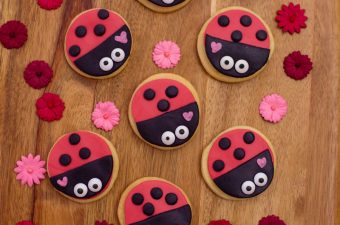 Lovebug Ladybug Cookies Recipe