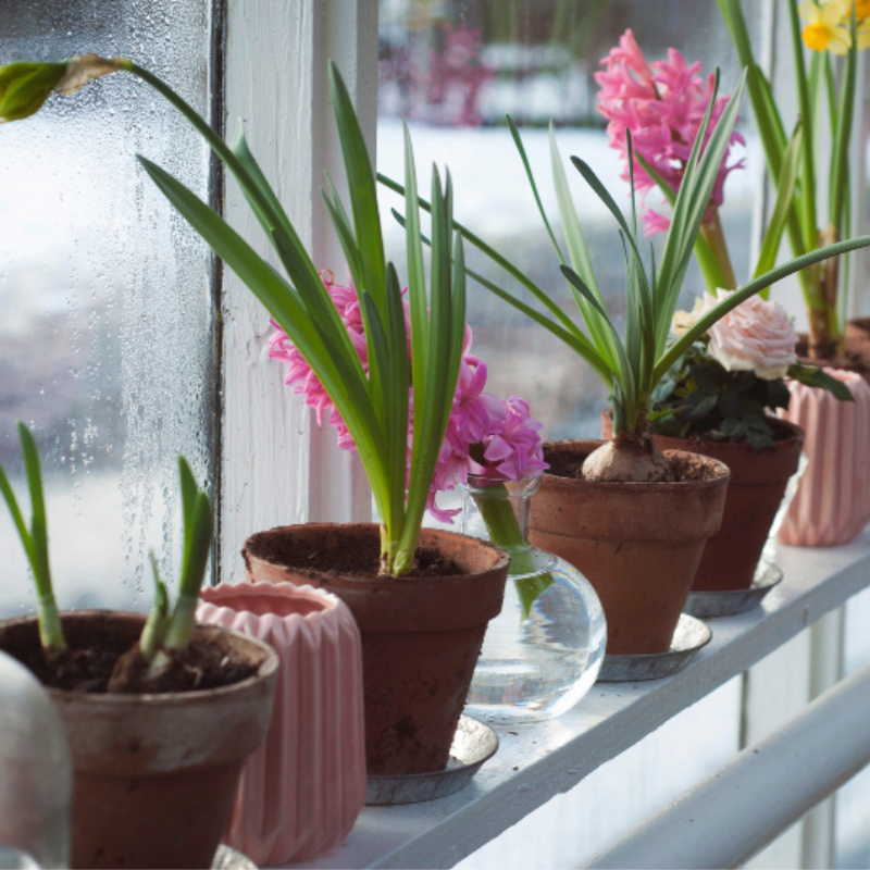 Four DIY Ideas to Try Out for Your Spring Garden This Year