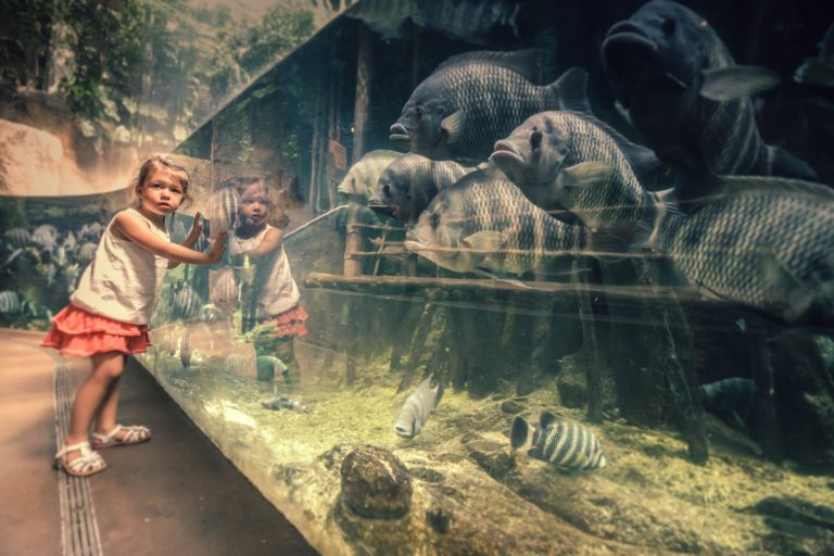 6 Reasons Why You Should Visit A Zoo On Your Next Family Vacation