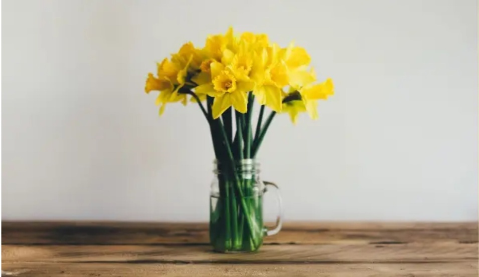 4 Ways to Improve Yourself This Spring - Kellys Thoughts On Things