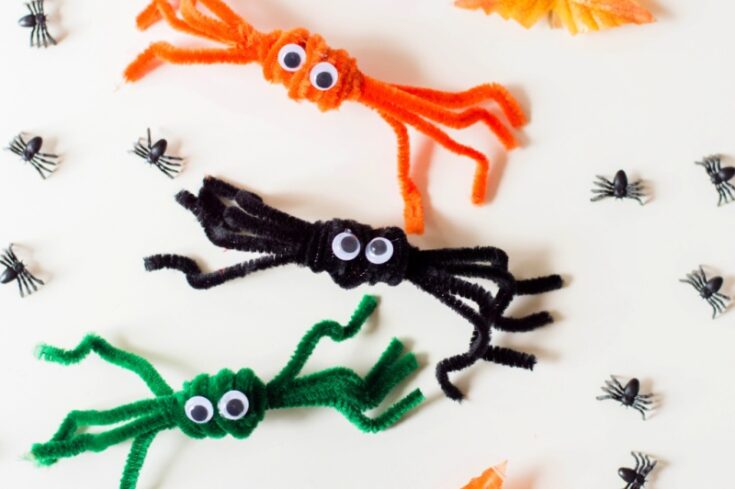 PIPE CLEANER SPIDERS CRAFT