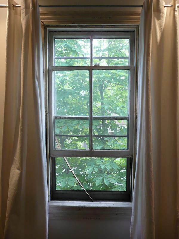 Why You Should Purchase Double Hung Sash Windows