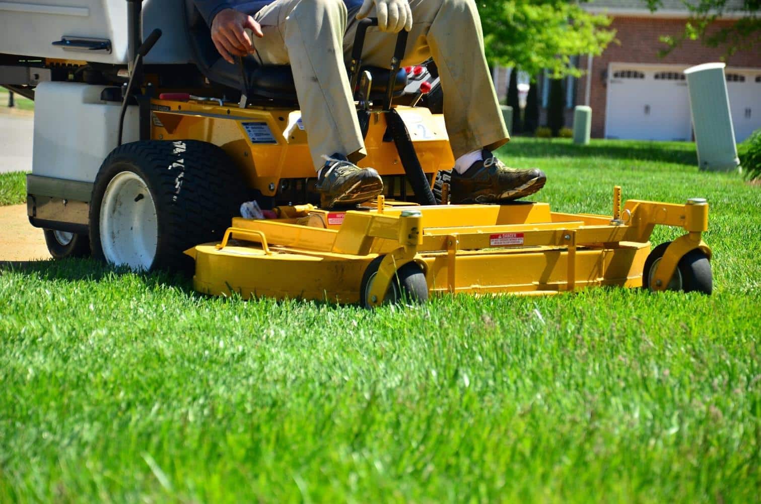 Maintenance Tasks And Tips To Have A Healthy And Beautiful Yard