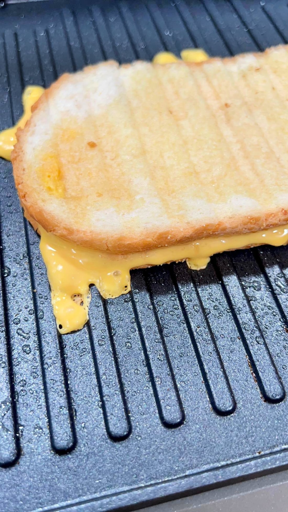 How To Make a Delicious Grilled Cheese Panini