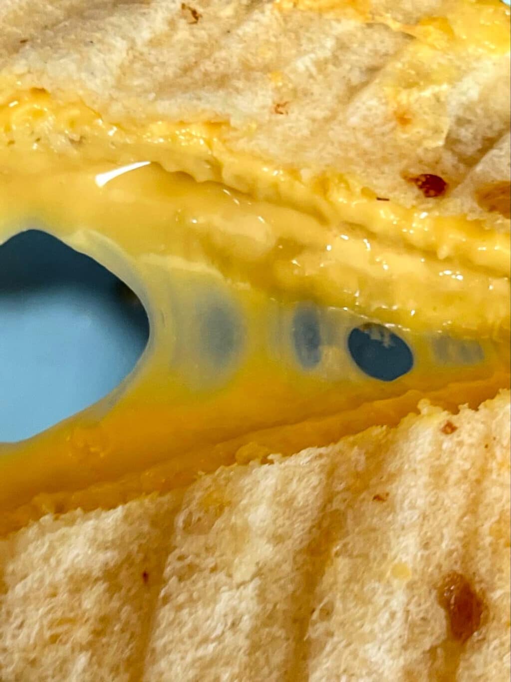 How To Make a Delicious Grilled Cheese Panini