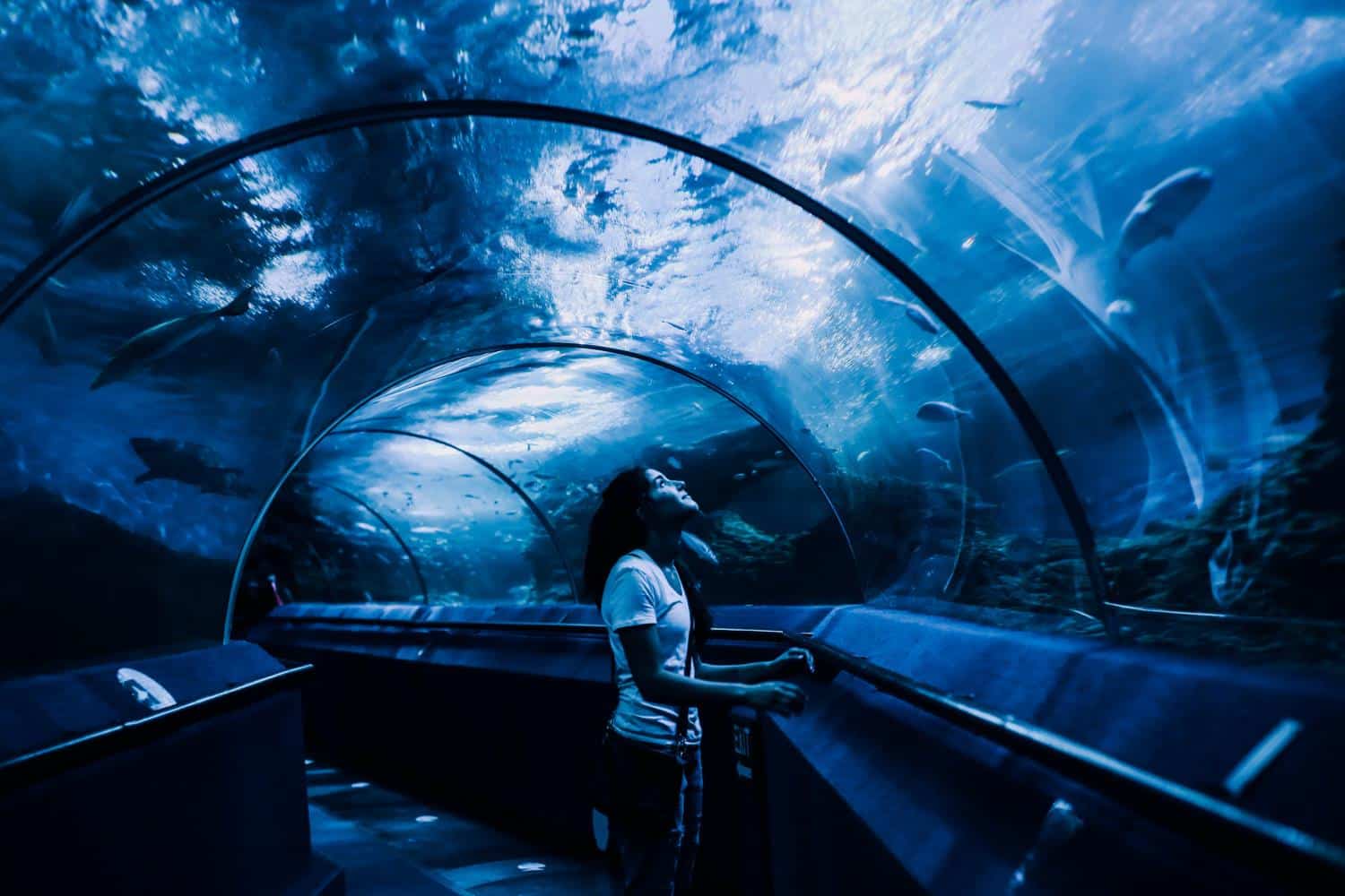 Top 5 Super Fun Things To Do In Dubai