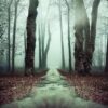 8 Spooky USA Destinations for a Haunted Halloween