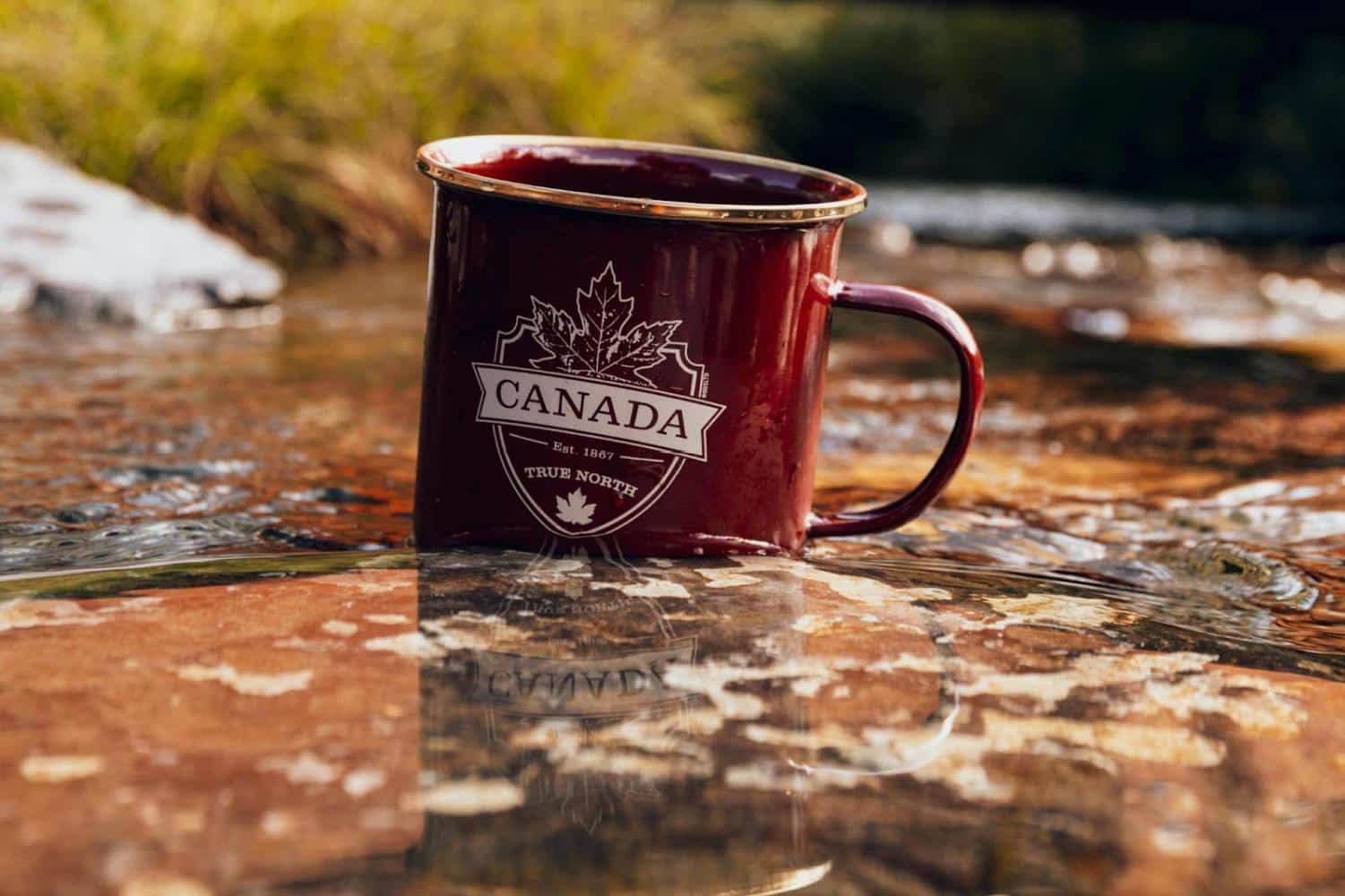 Traditional Canadian Gifts: Ideas For Every Occasion
