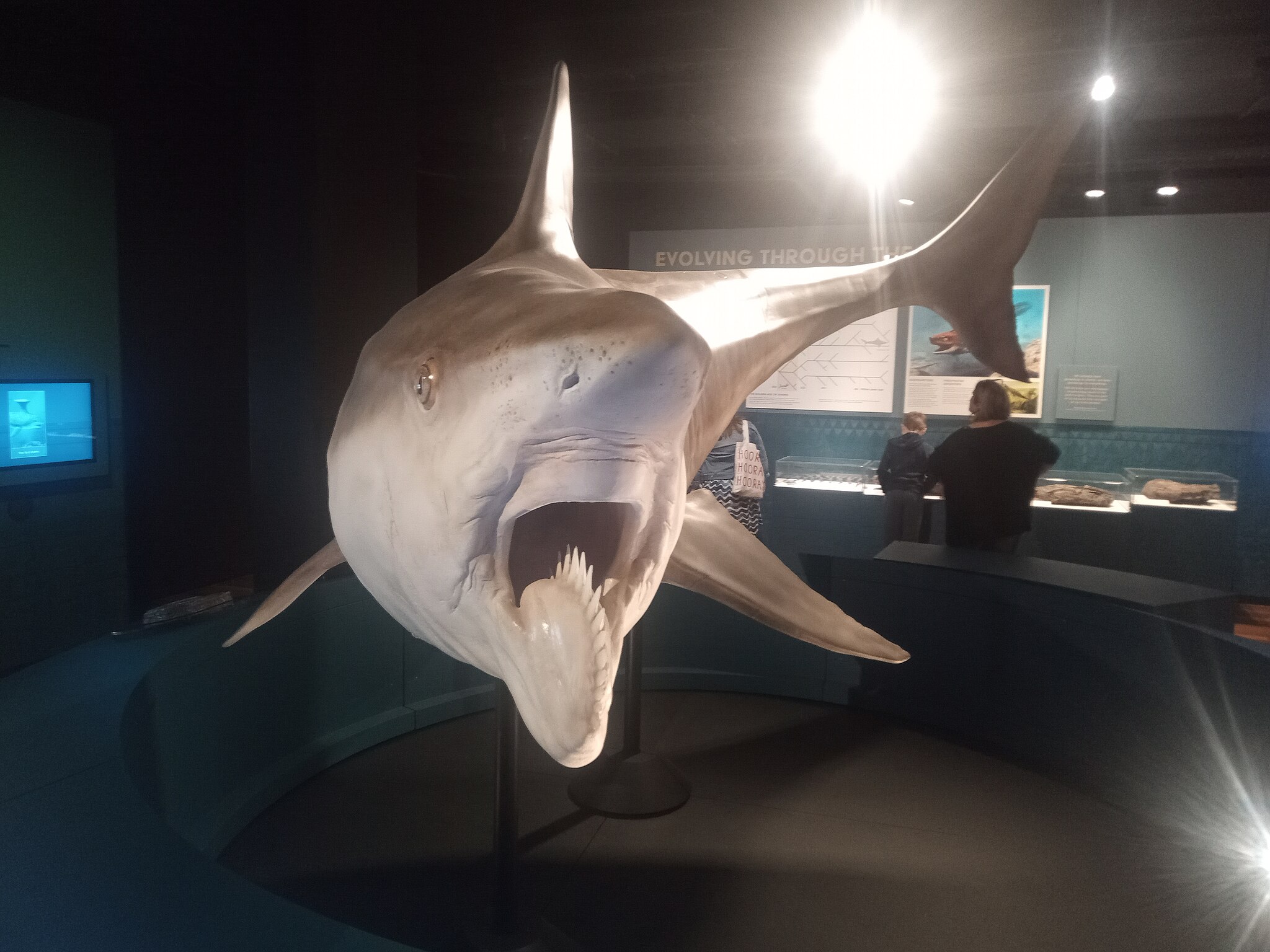 9 Biggest and Strangest Extinct Sea Creatures that Could Haunt Your Dreams