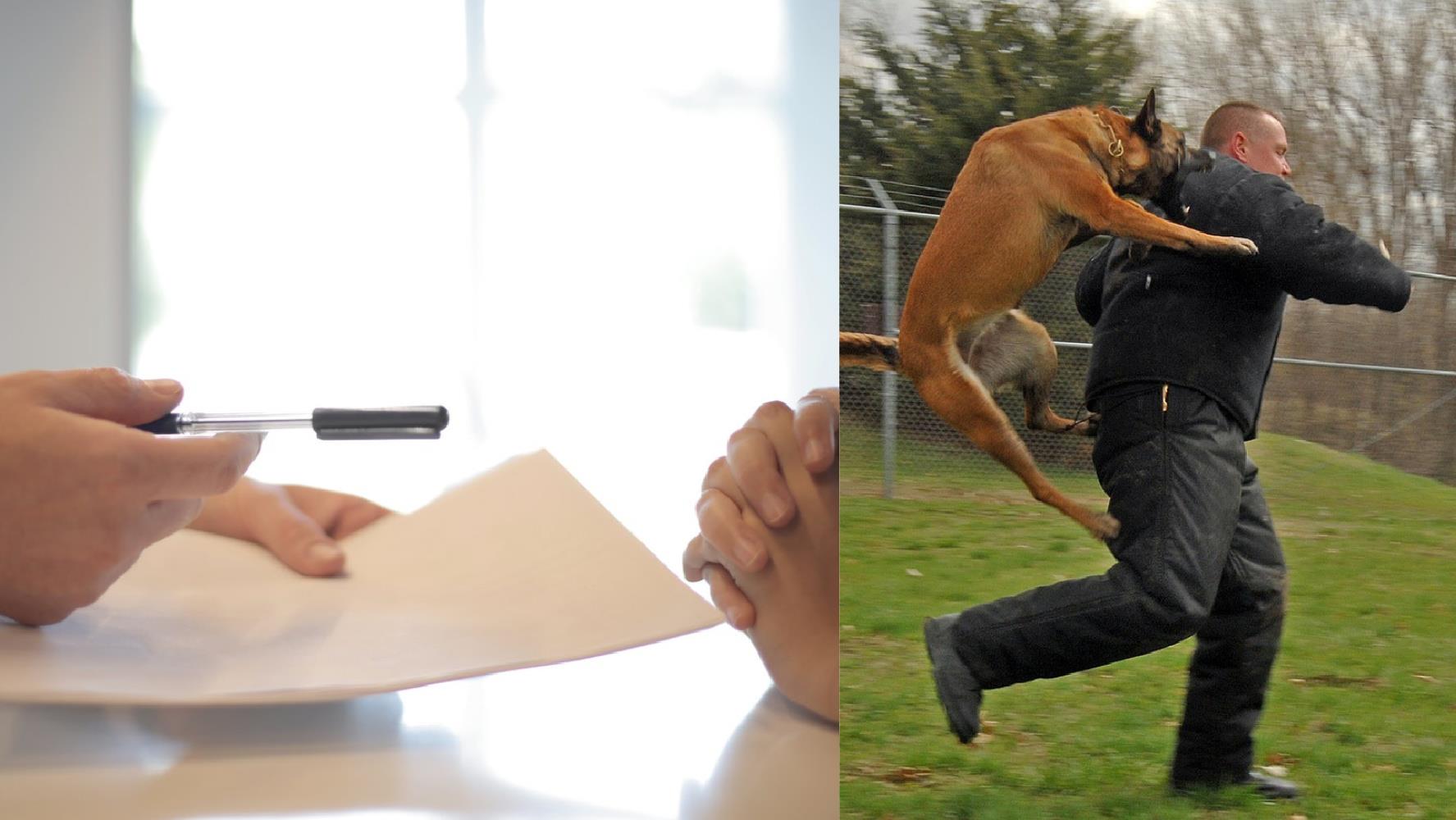 A Comprehensive Guide On How To Win A Dog Bite Injury Claim