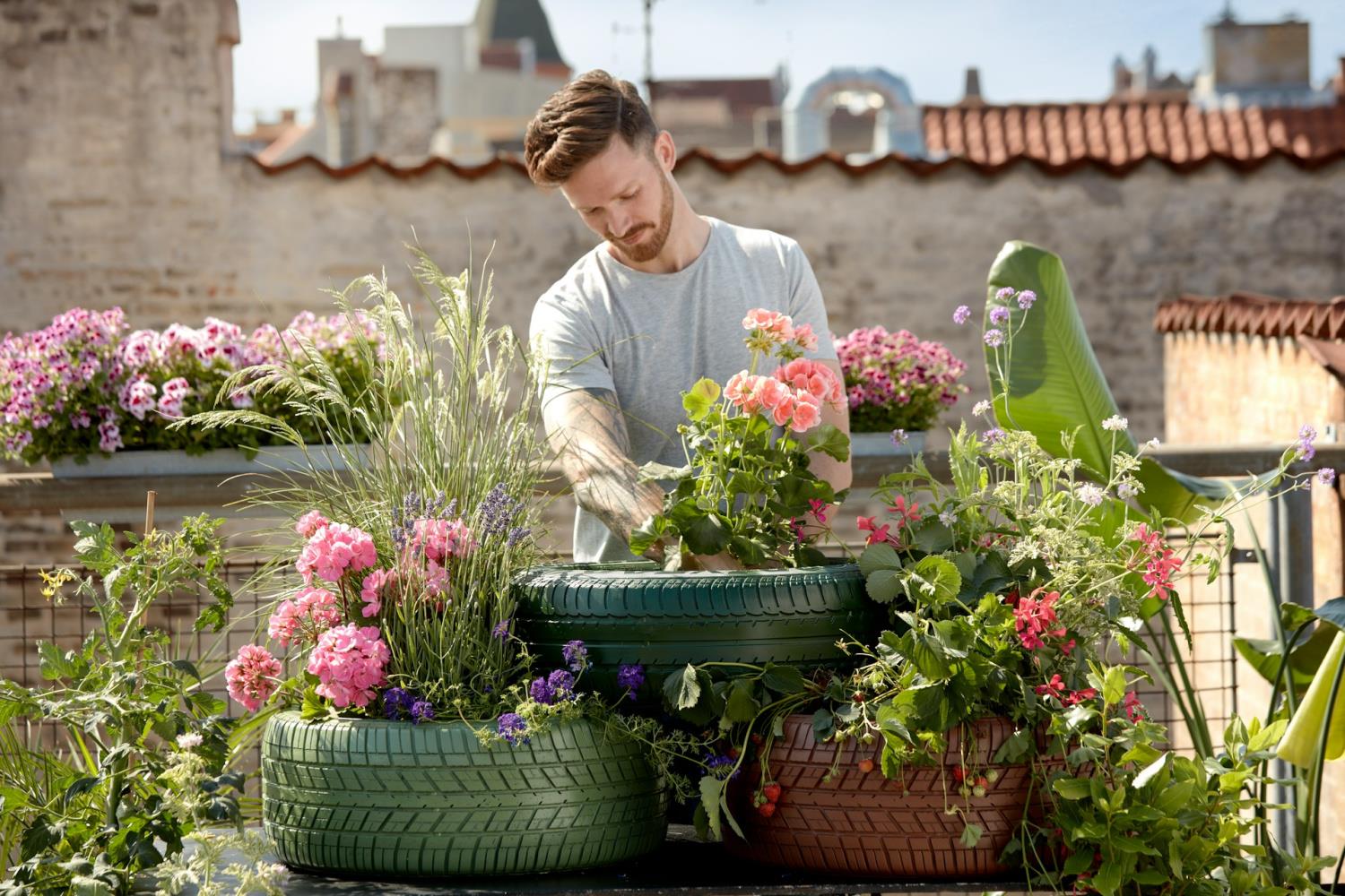 What To Know About Creating A Healthy Garden Long-Term