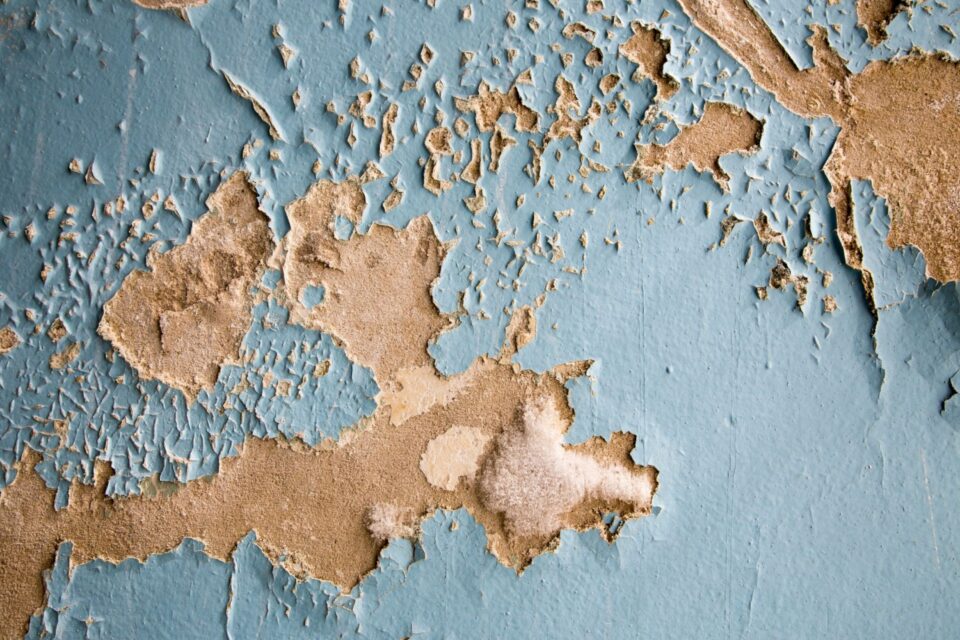 Signs Of Hidden Water Damage Behind Walls And Ceilings